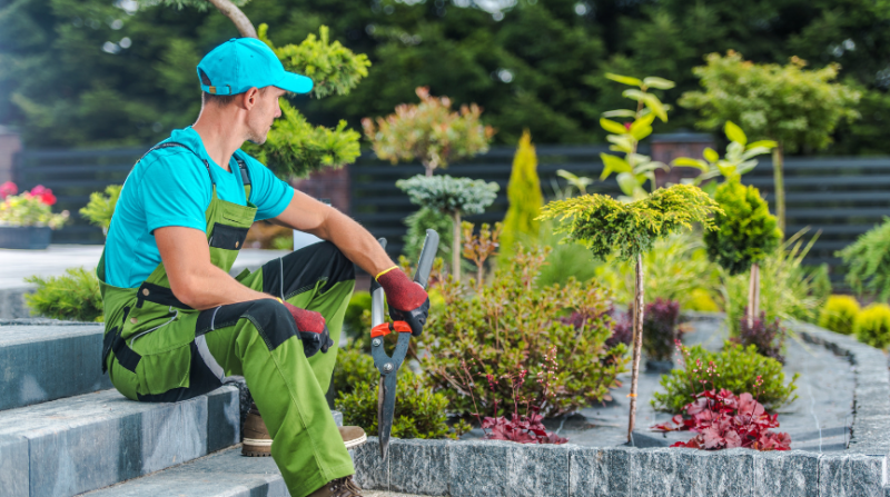 How to Become a Gardener? - London Local News