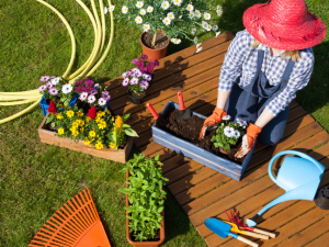 Unveiling British Facial Features: A Genetic Study - London Local News