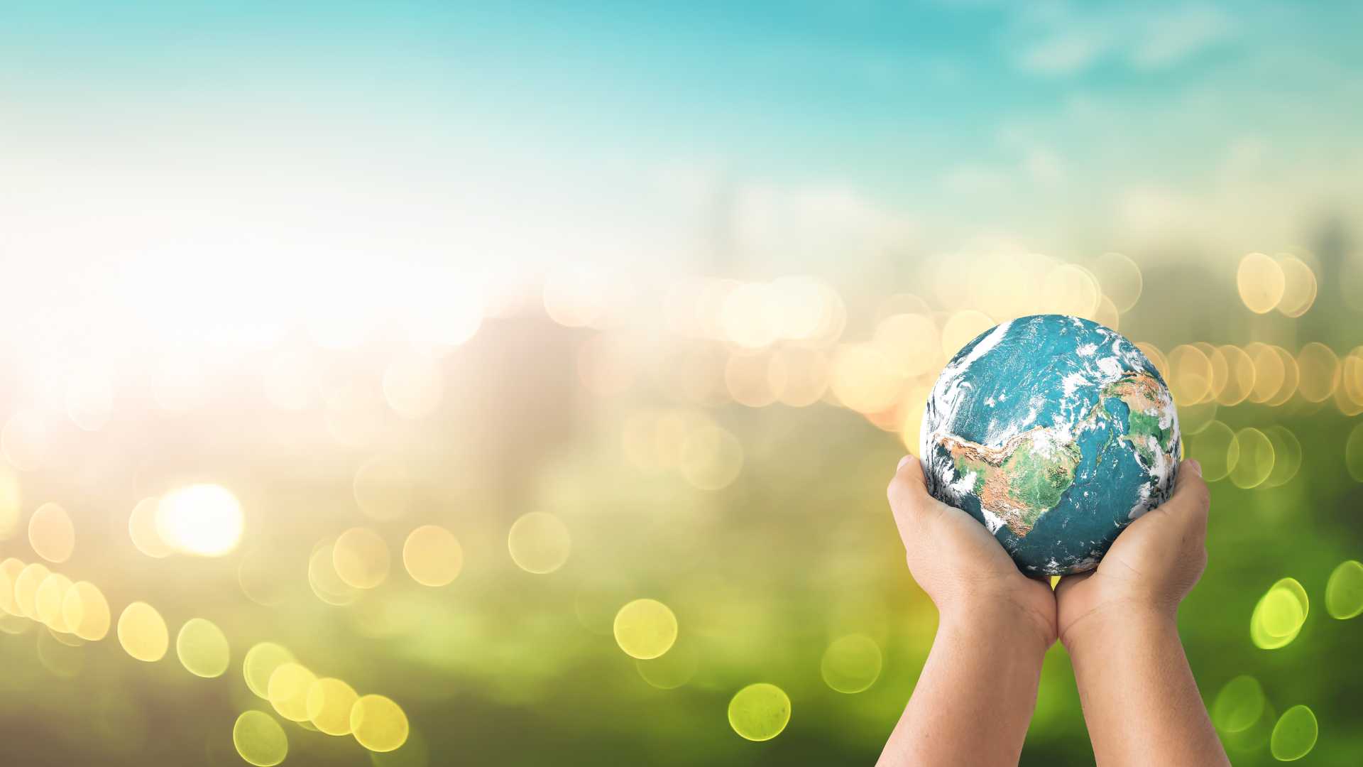 Understanding Biodiversity: Everything You Should Know About ...