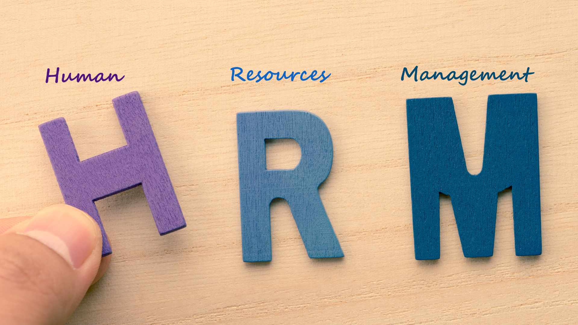 Human Resource Management and Training - Essential Training Tips ...