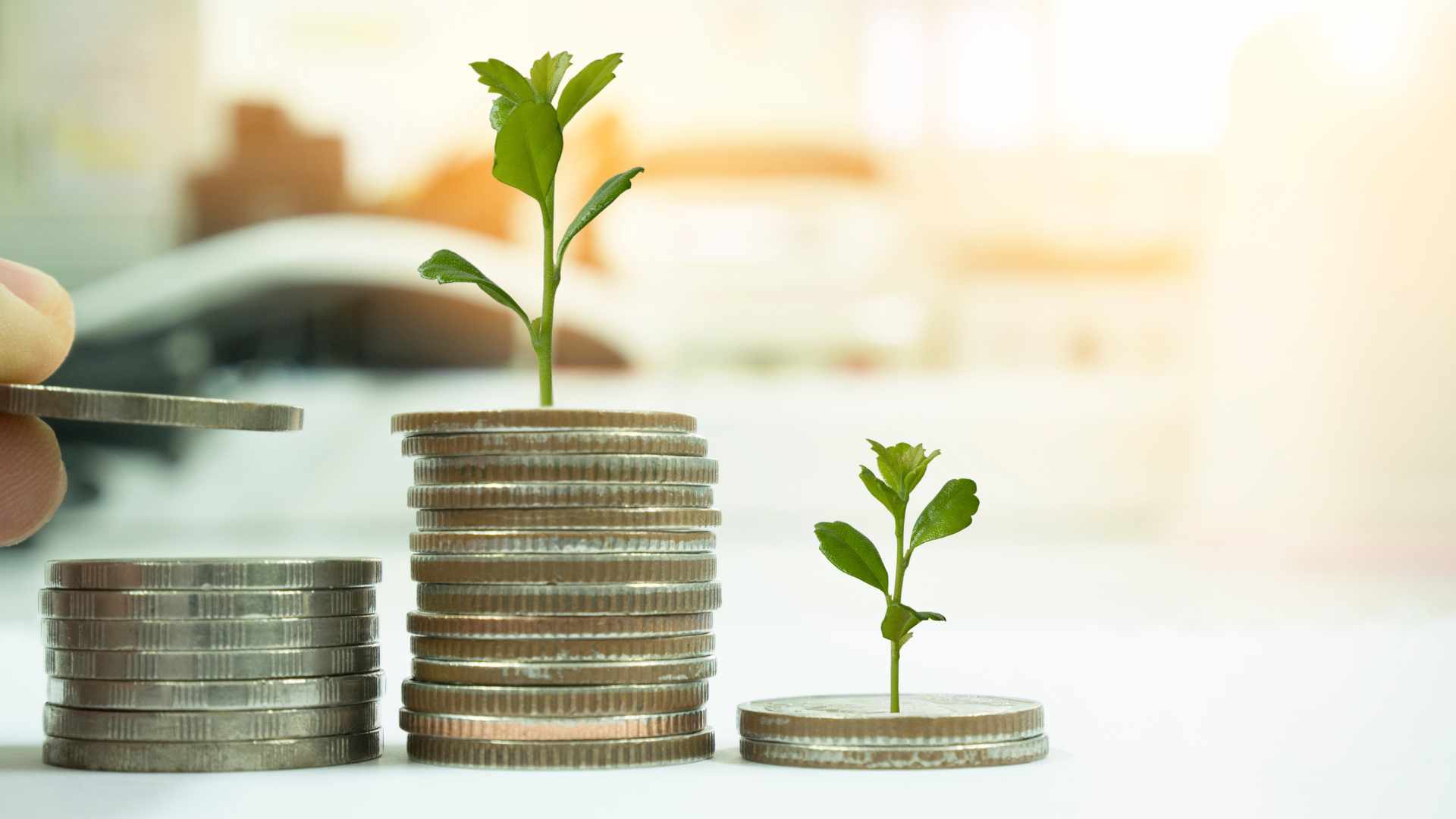 Money Market Funding: All You Need to Know - London Local News