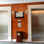 Unveiling British Facial Features: A Genetic Study - London Local News